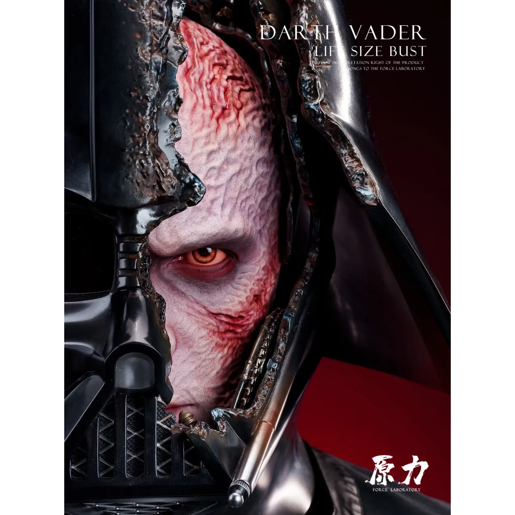 Star Wars Darth Vader Life Size Bust Force Laboratory